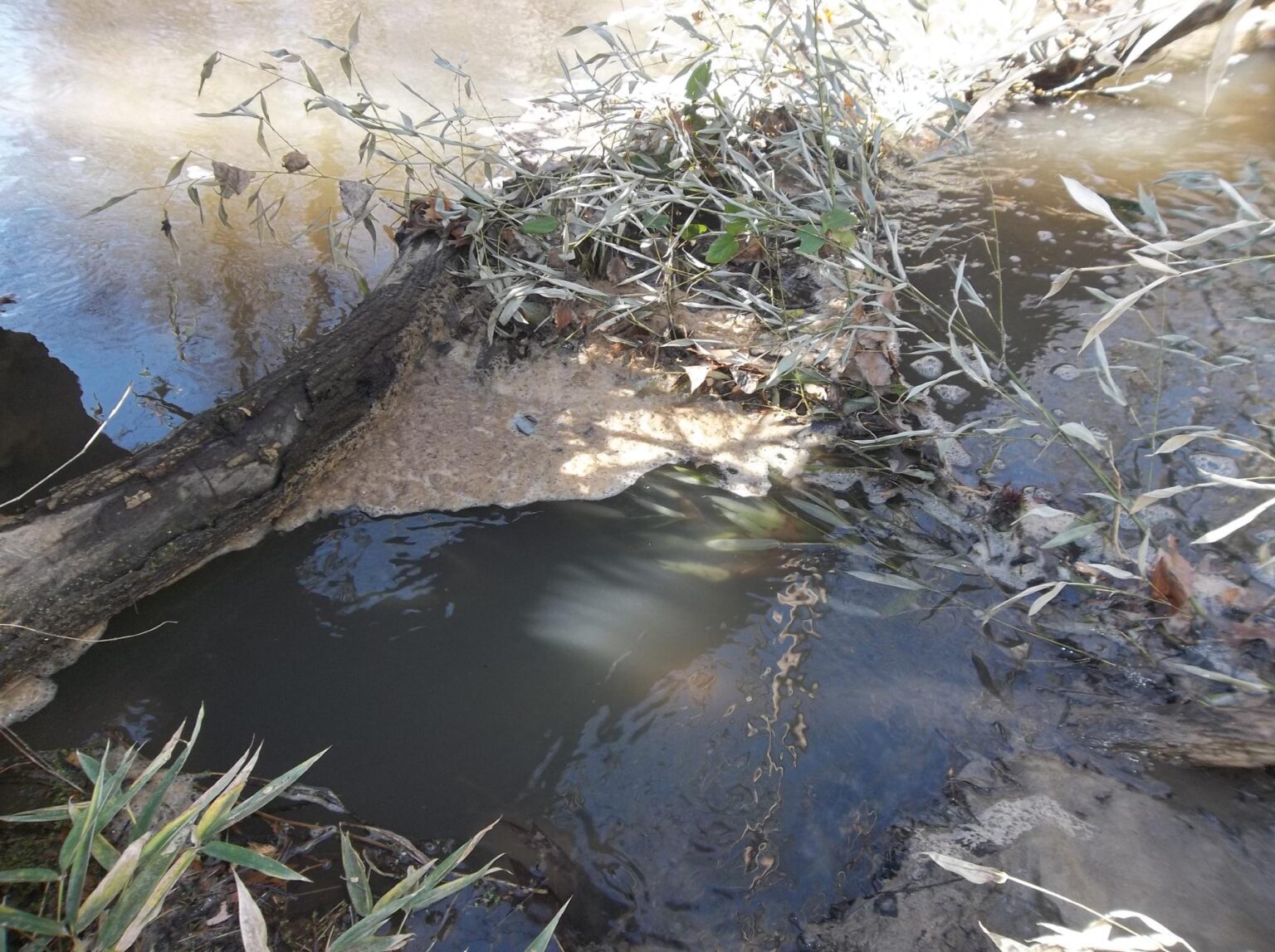 Potomac Riverkeeper Network Sues Town of La Plata for Clean Water Act ...